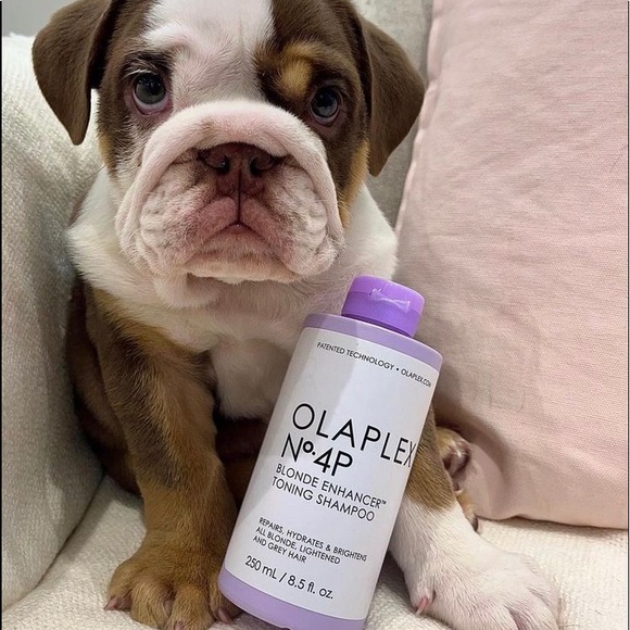 OLAPLEX | Hair | Olaplex Purple Shampoo Number 4p Blonde Enhancer ...